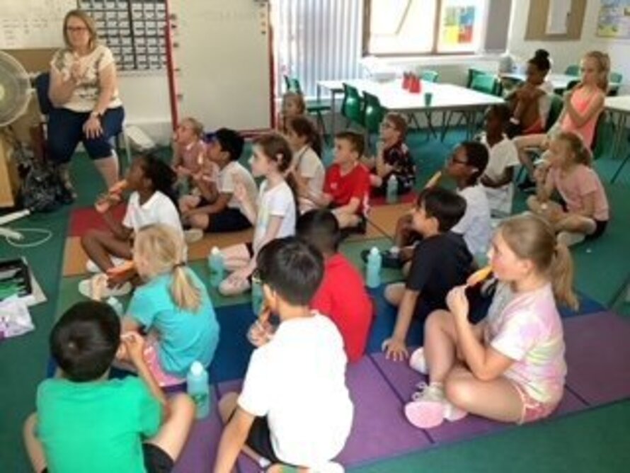 Heelands School - Profile (2023)