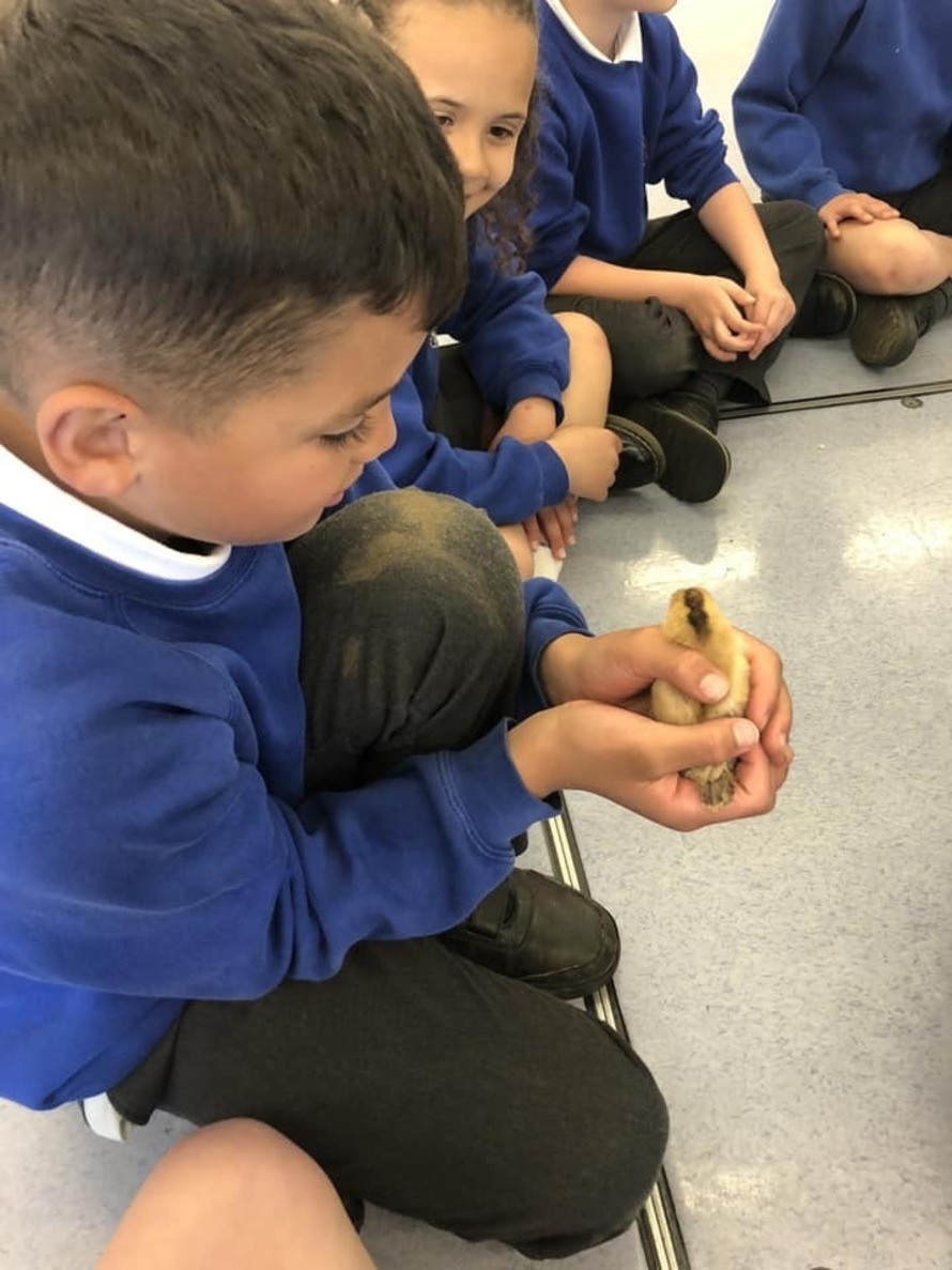 Overstone Combined School - Profile (2024)