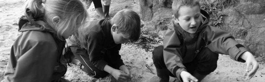 Dee Point Primary School - Profile (2024)