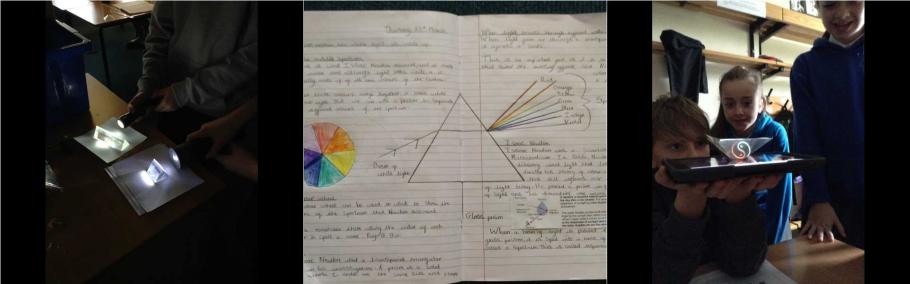 The Dingle Primary School - Profile (2023)
