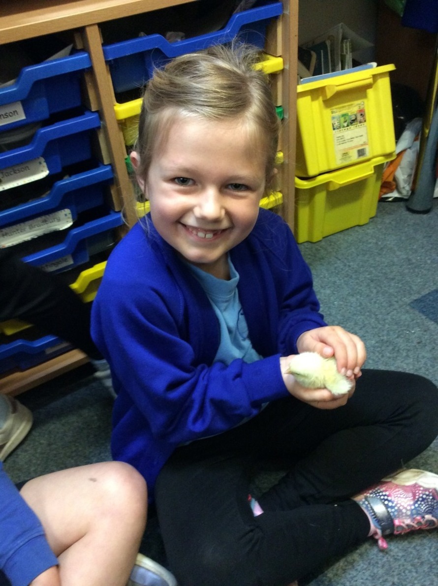 Twiss Green Community Primary School - Profile (2023)