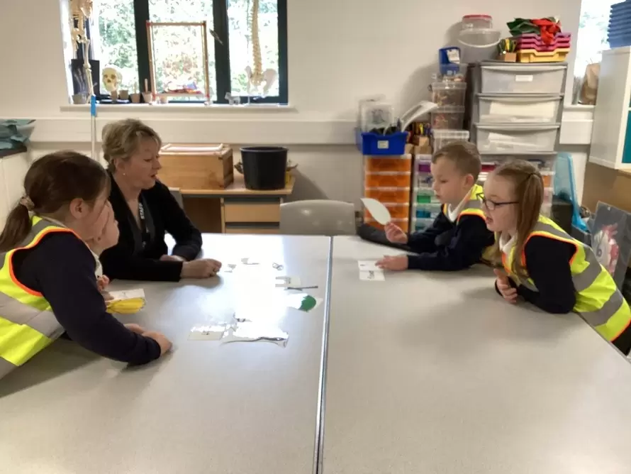 Hallwood Park Primary School and Nursery - Profile (2024)