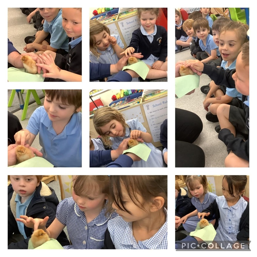 Lower Peover CofE Primary School - Profile (2023)