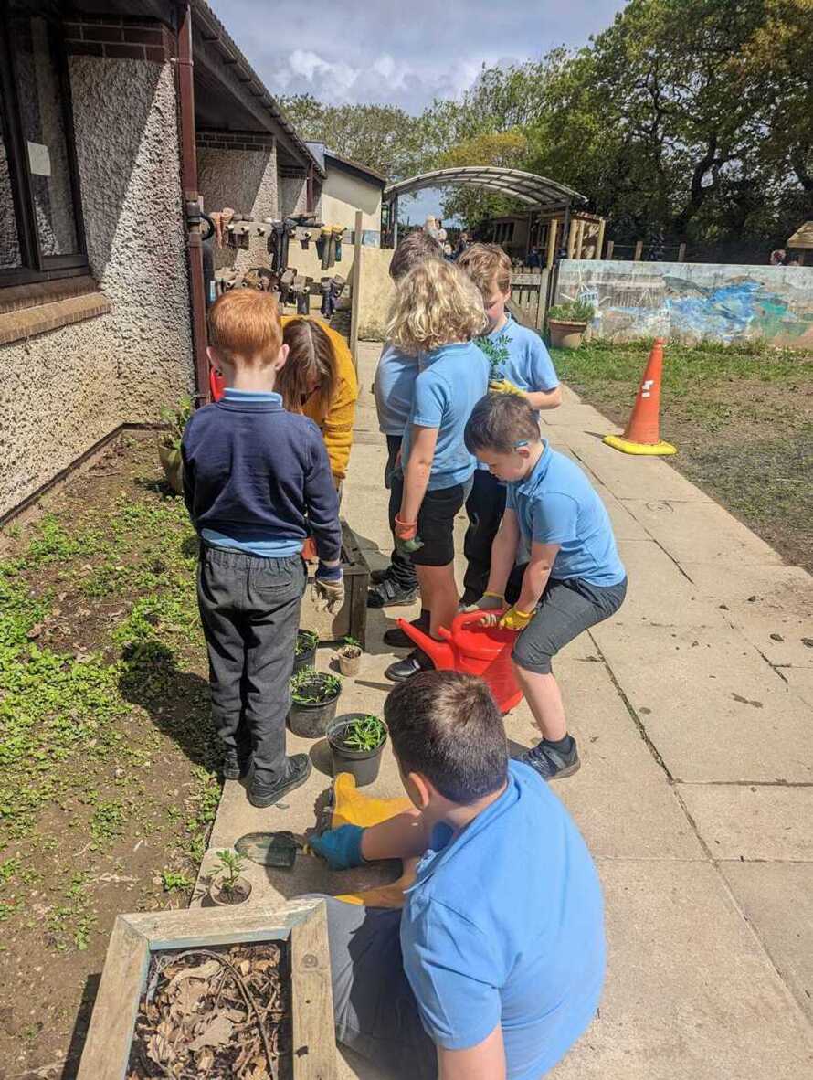 St Erme with Trispen Community Primary School - Profile (2023)