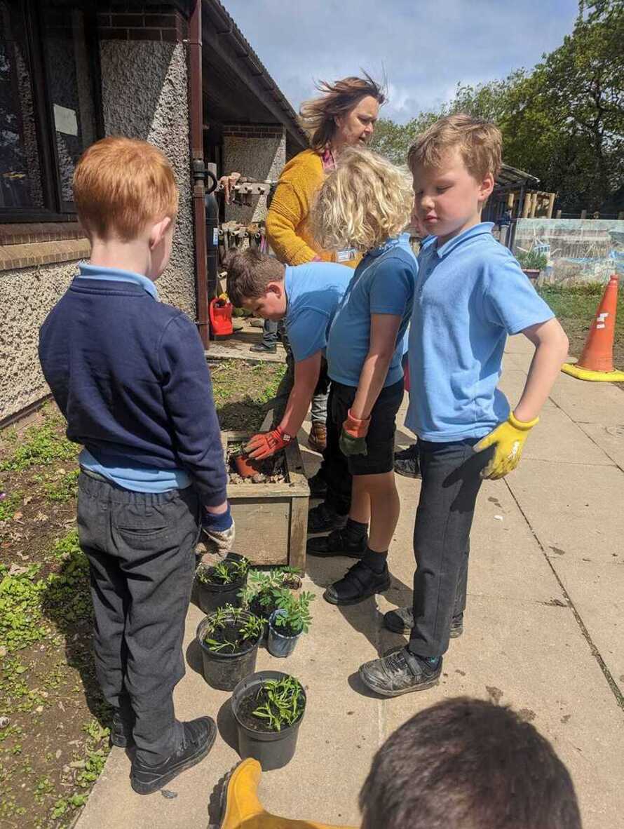 St Erme with Trispen Community Primary School - Profile (2023)