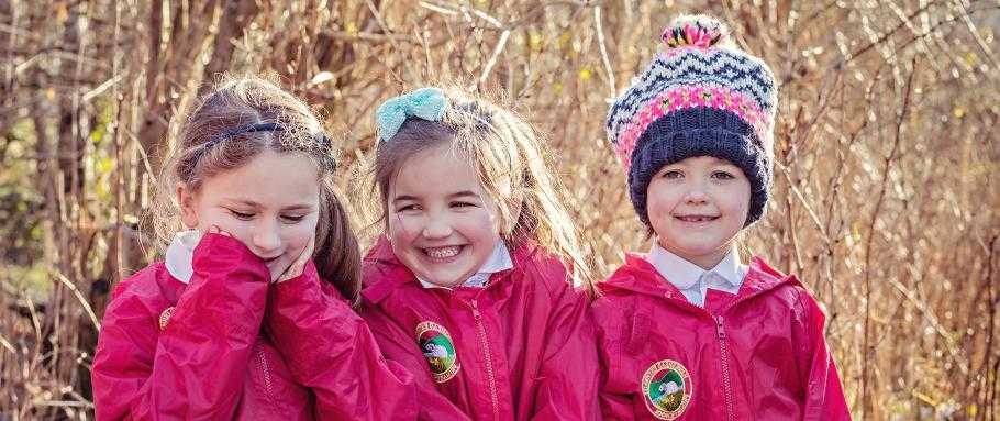 Goodly Dale Primary School - Profile (2024)