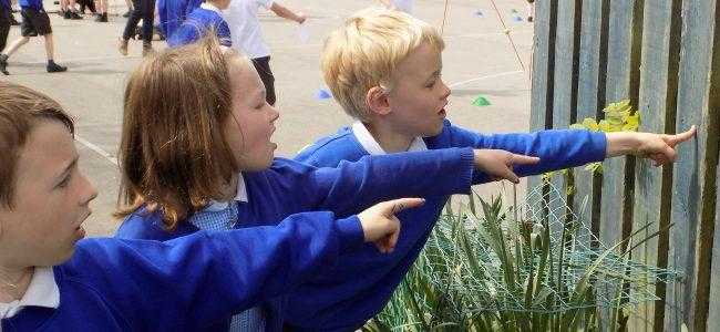 Sedbergh Primary School - Profile (2023)