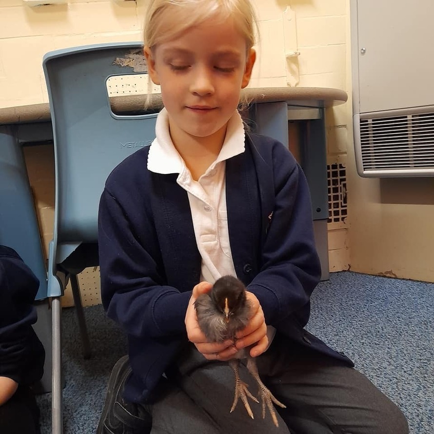 Peak Dale Primary School - Profile (2023)