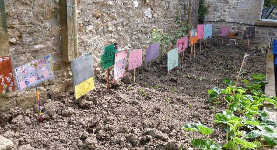 Shute Community Primary School - Profile (2023)