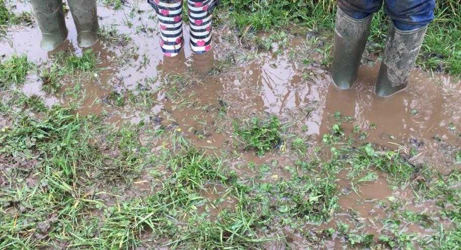 Kilmington Primary School - Profile (2023)