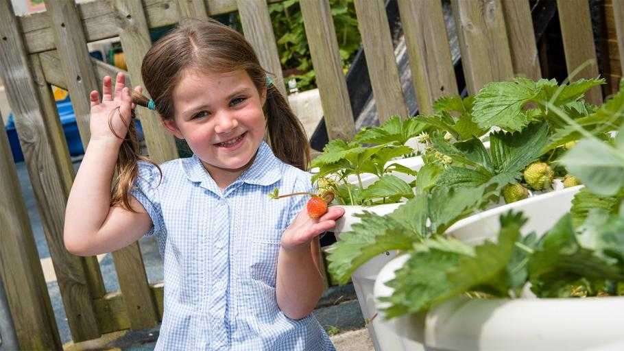Stokenham Area Primary School - Profile (2024)