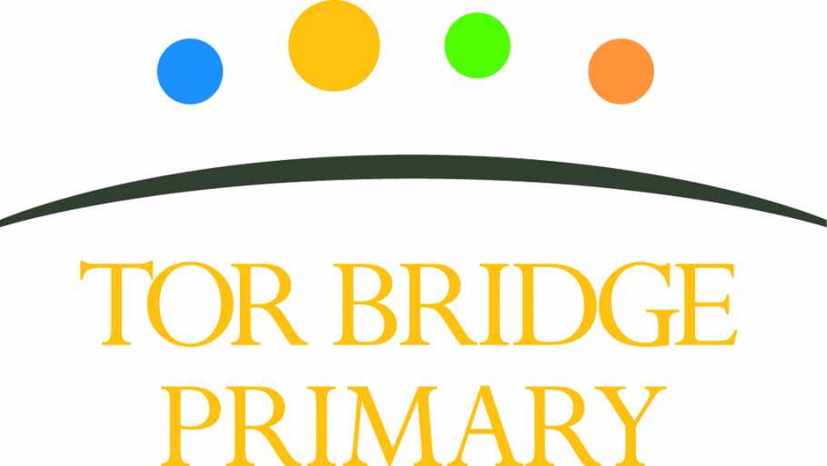 Tor Bridge Primary School - Profile (2022)