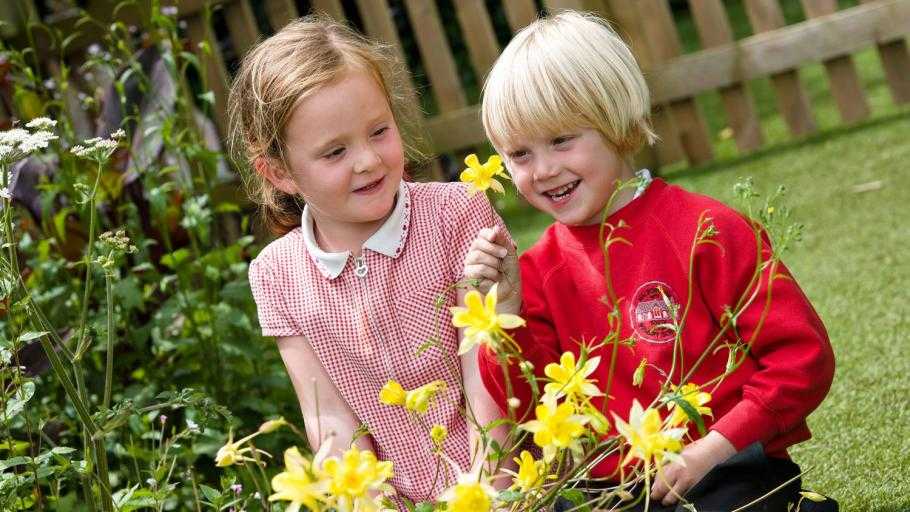 Stokenham Area Primary School - Profile (2024)