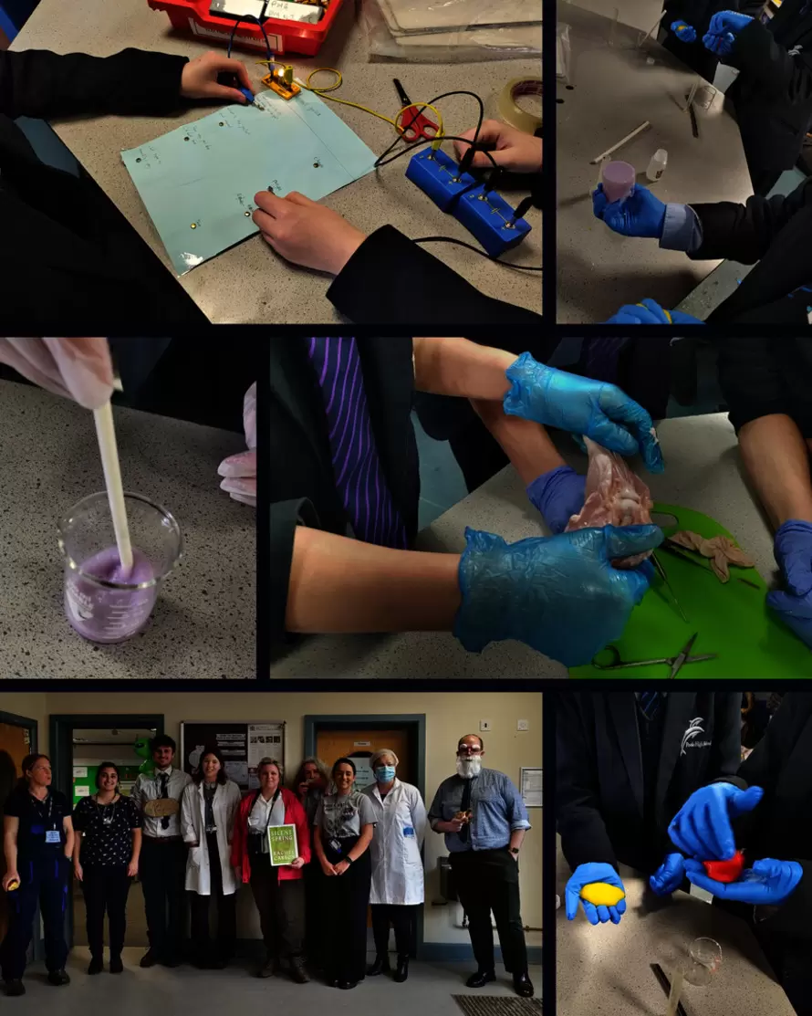 Poole High School - Profile (2024)