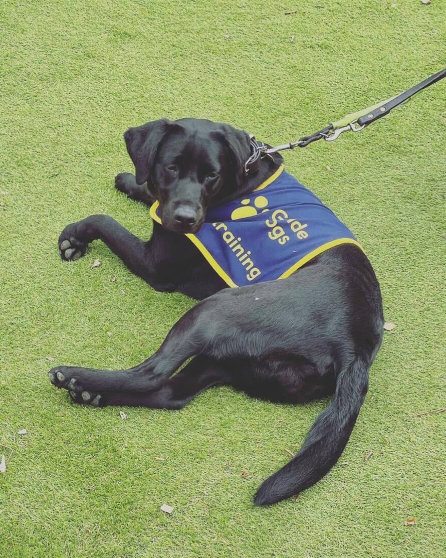 Dumpton School - Profile (2023)