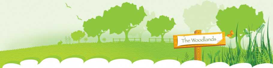 Best Schools in Ferryhill (2024)