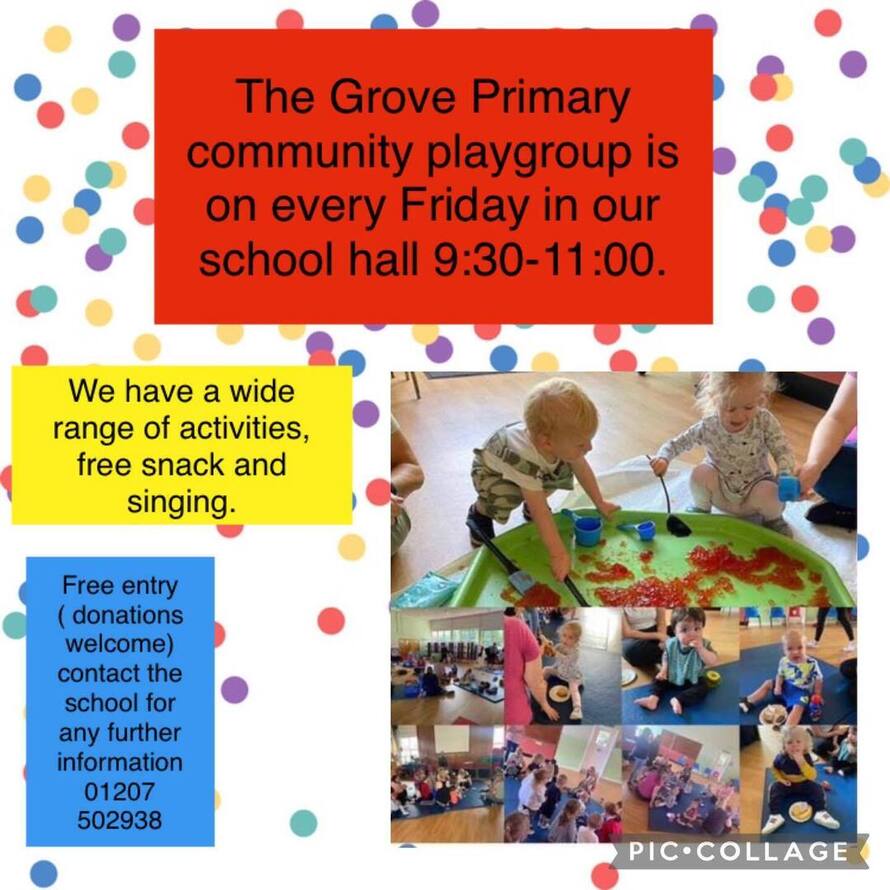 The Grove Primary School in Durham - Profile (2023)