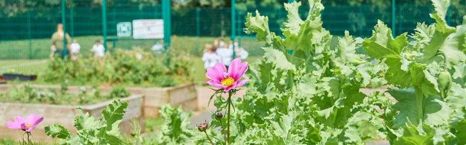 Kirk Merrington Primary School - Profile (2024)