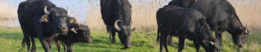 Bourne Primary School in Eastbourne - Profile (2024)