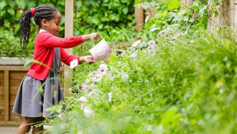 Fairlight Primary School - Profile (2024)