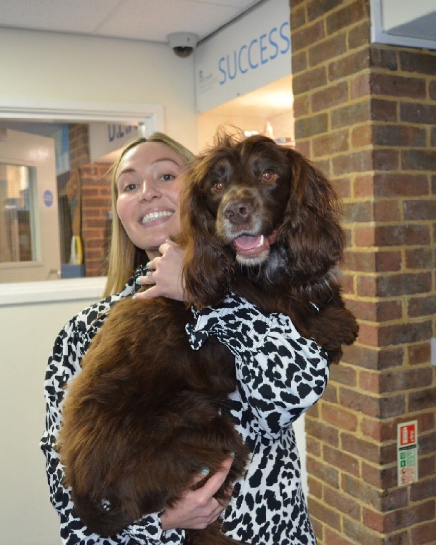 Patcham High School - Profile (2023)