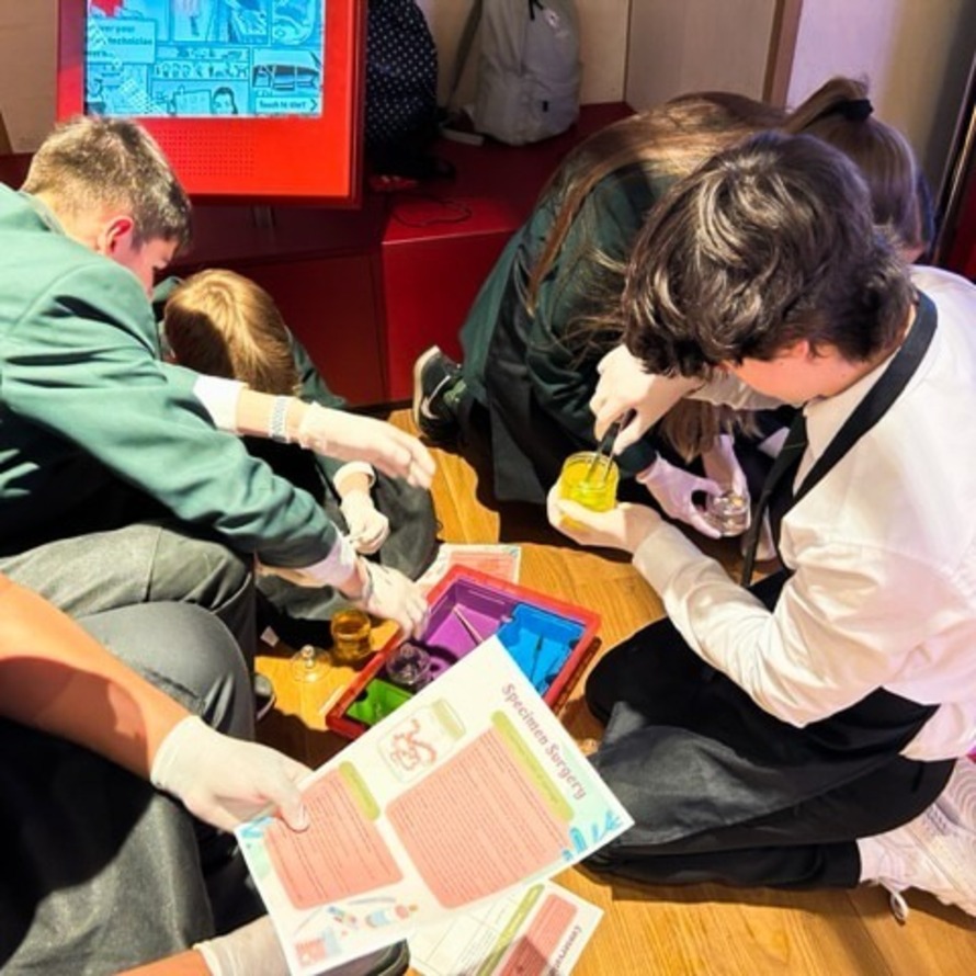 Greenfields School in Forest Row - Profile (2024)