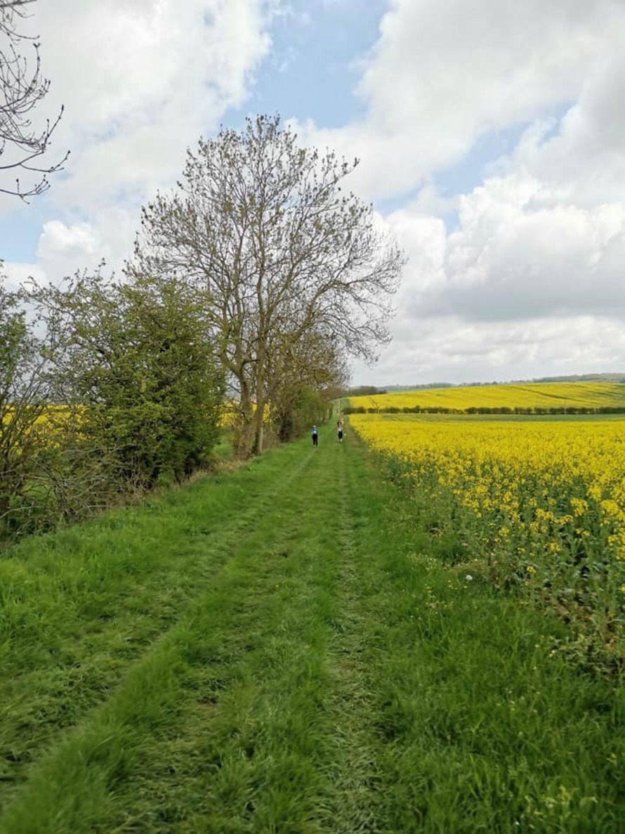 Ashdon Primary School - Profile (2023)