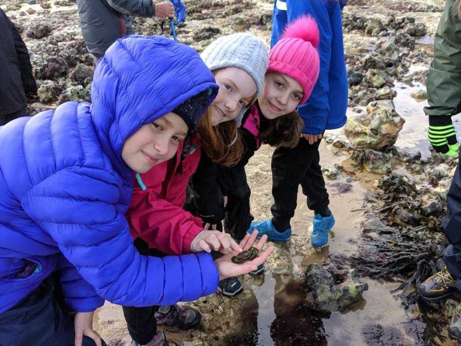 Ashdon Primary School - Profile (2023)