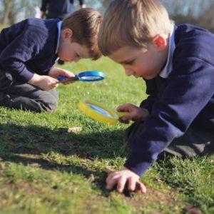Henham and Ugley Primary and Nursery School - Profile (2024)