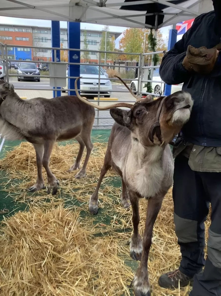 Lexden Springs School - Ofsted Report, Parent Reviews (2025)