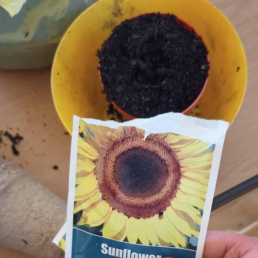 Miserden Church of England Primary School - Profile (2023)