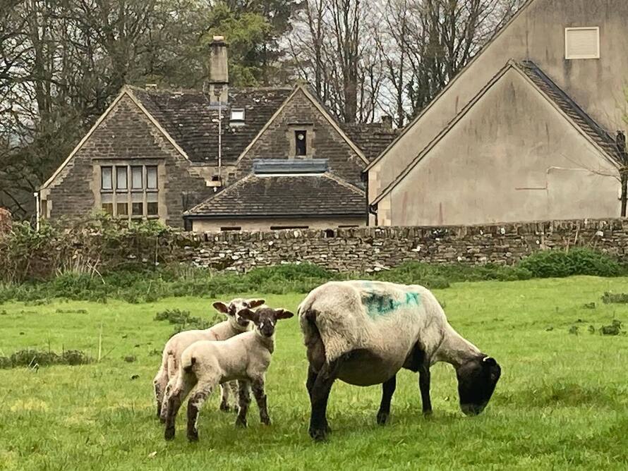 Miserden Church of England Primary School - Profile (2023)