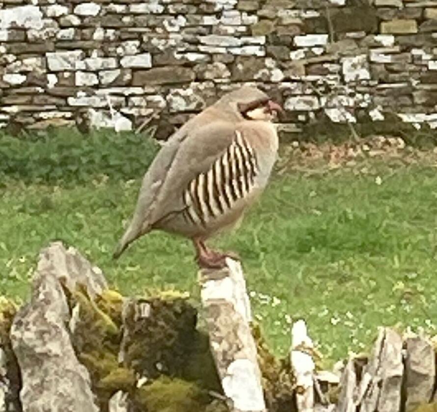 Miserden Church of England Primary School - Profile (2023)