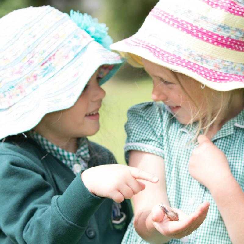 Netley Marsh Church of England Infant School - Profile (2023)