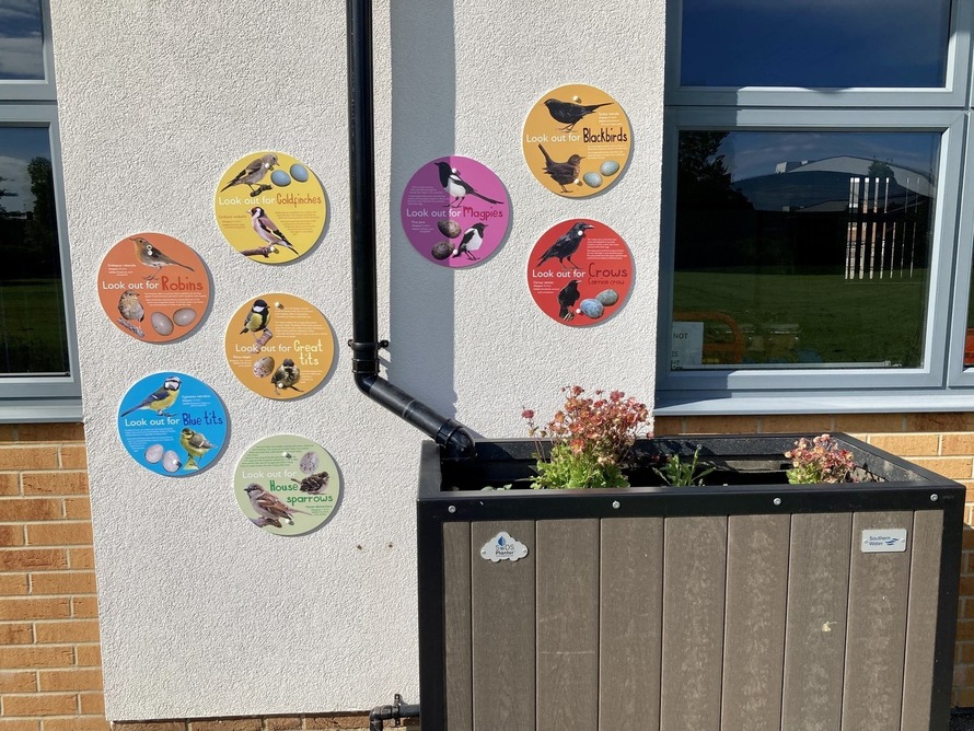 Sharps Copse Primary and Nursery School - Profile (2024)