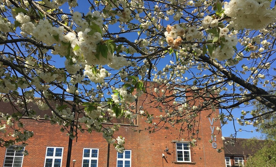 The Vyne Community School - Profile (2023)