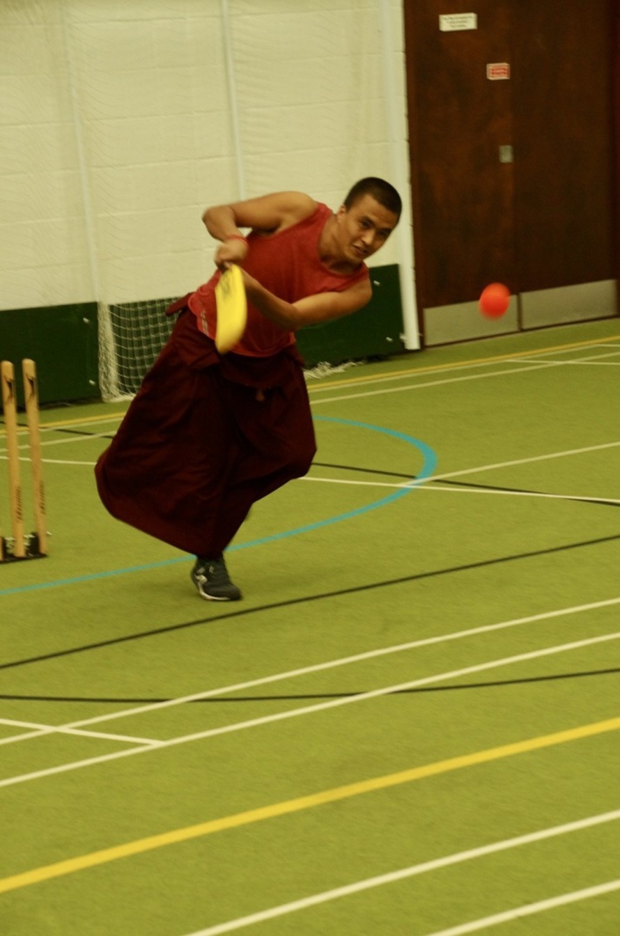 Moyles Court School - Profile (2023)