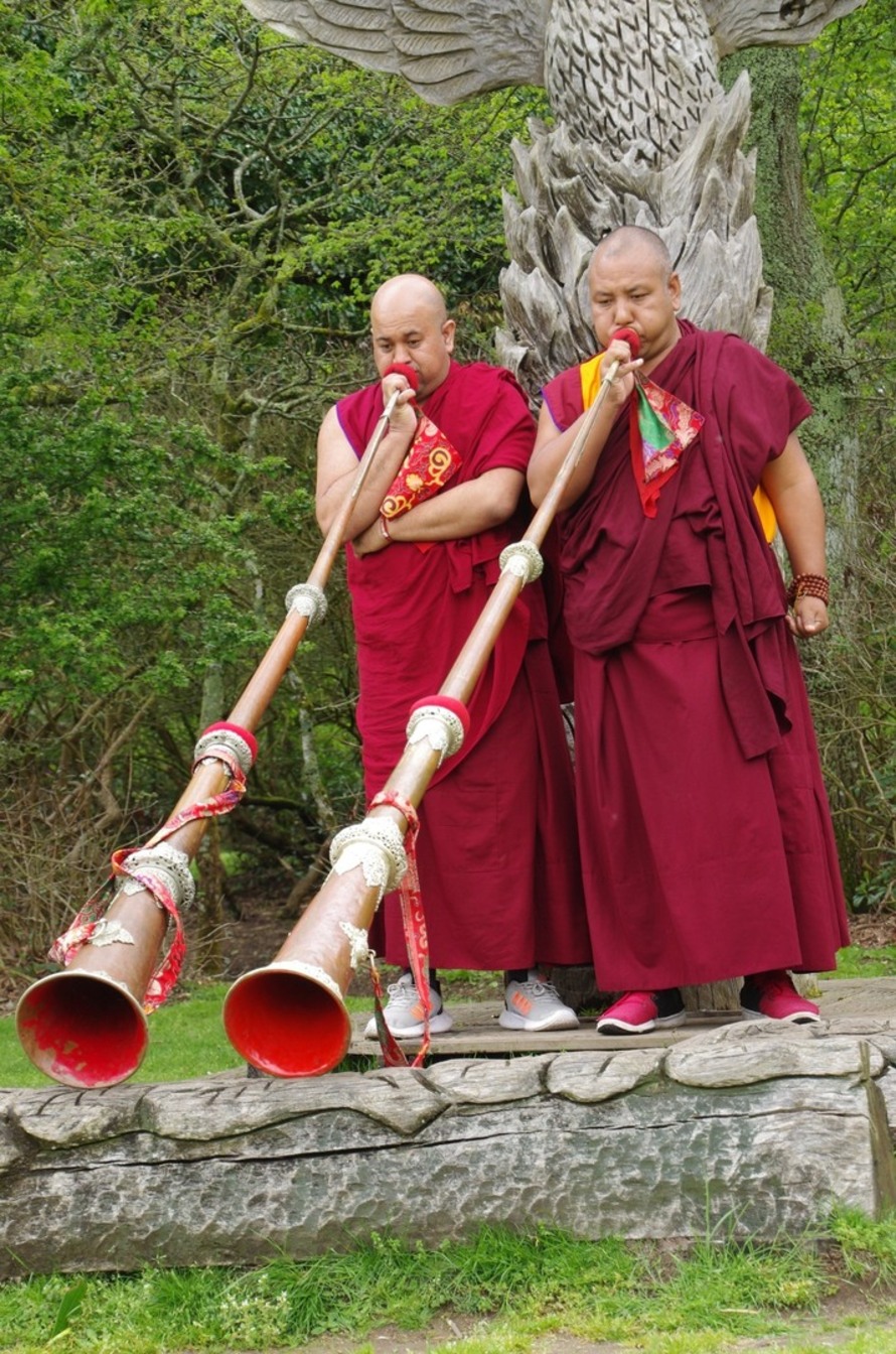 Moyles Court School - Profile (2023)