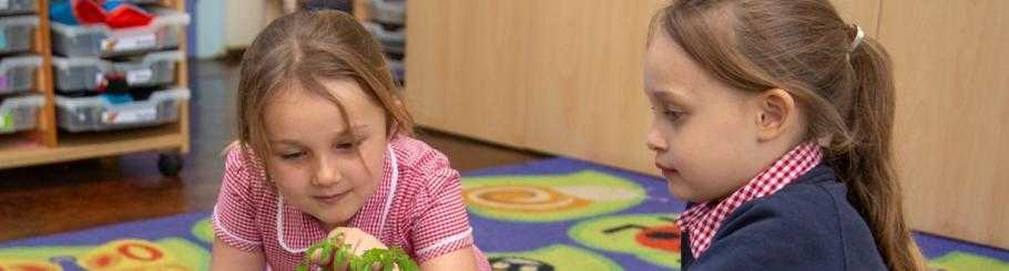 Broadway First School - Profile (2023)