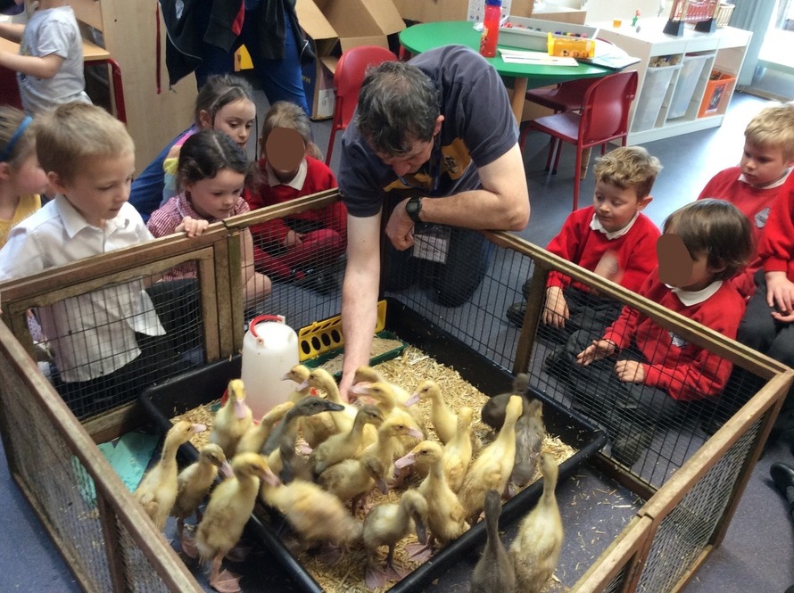 Cradley CofE Primary School in Cradley and Storridge - Profile