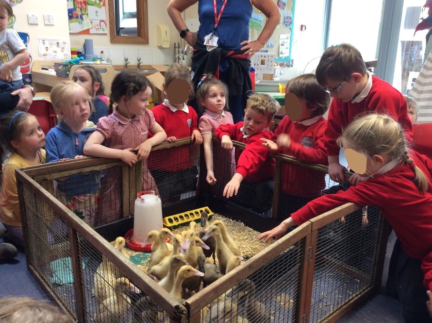 Cradley CofE Primary School in Cradley and Storridge - Profile