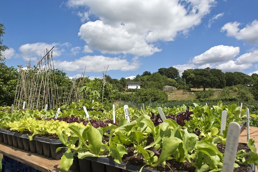 Sunfield Children's Home Ltd - Profile (2023)