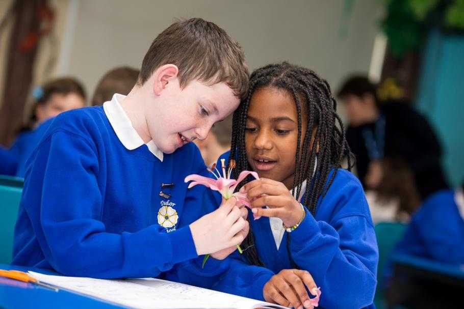 Tudor Primary School Gallery: Photos of Campus Life, Activities, Classrooms