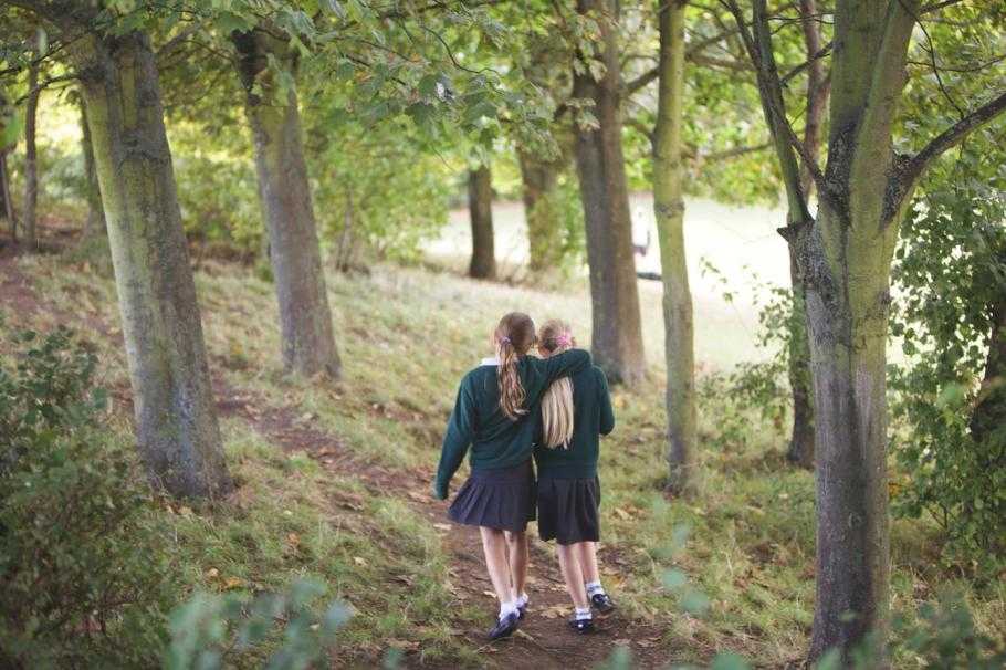 Lime Walk Primary School - Profile (2023)
