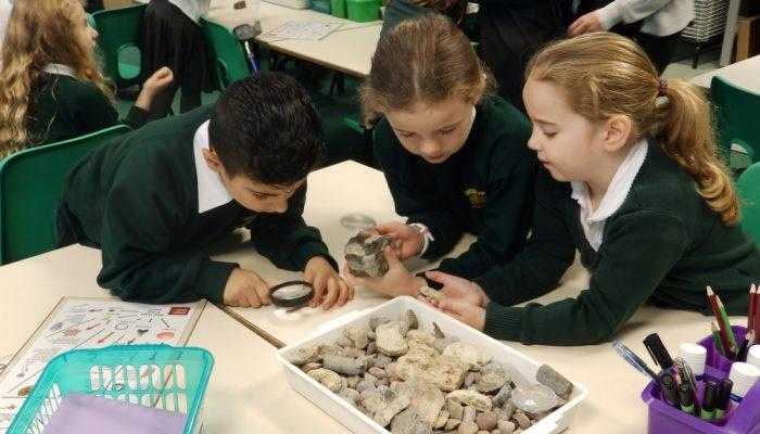 Sheredes Primary School - Profile (2024)