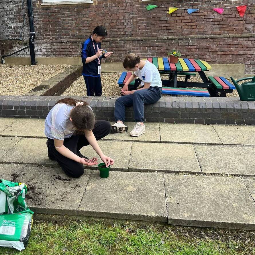 Tring Park School for the Performing Arts - Profile (2023)