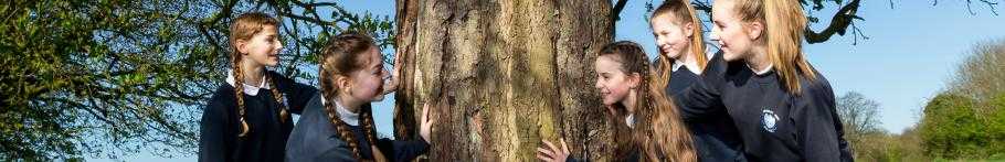 Beverley High School - Profile (2023)