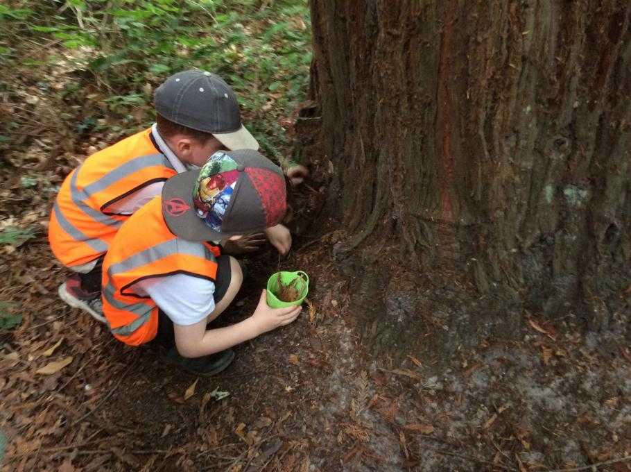 Four Elms Primary School - Profile (2022)