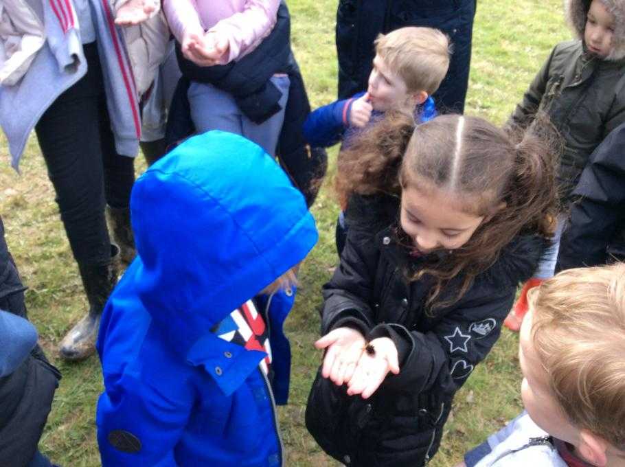 Four Elms Primary School - Profile (2023)