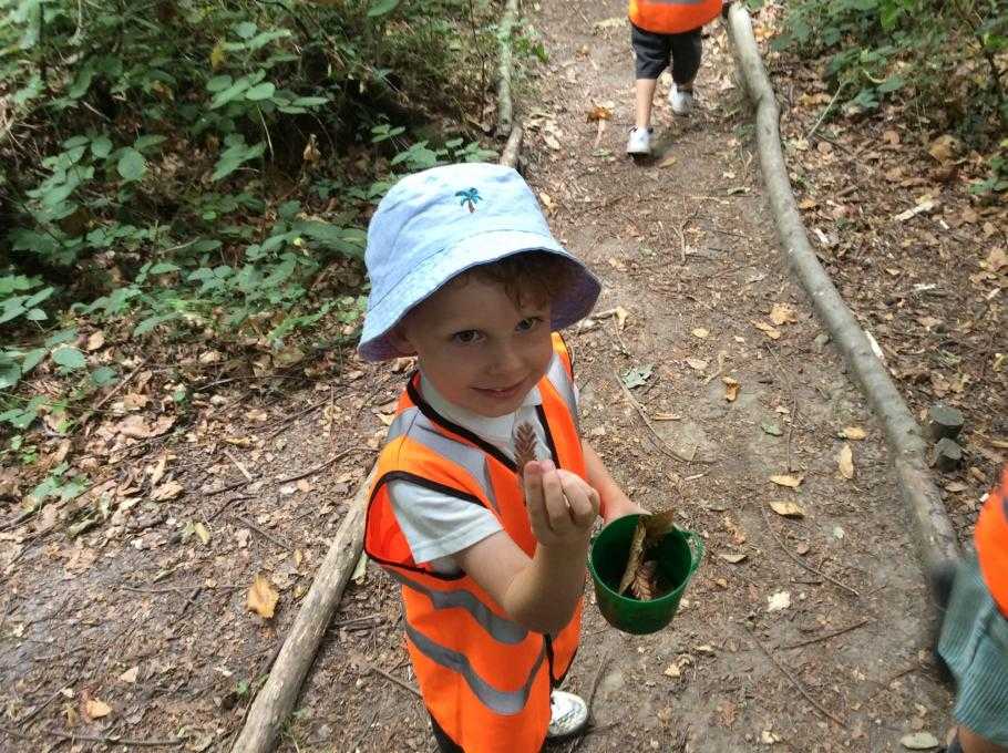 Four Elms Primary School - Profile (2022)